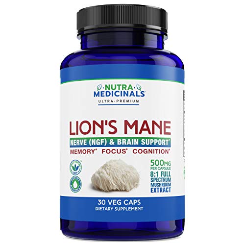 Organic mushrooms for cognitive support