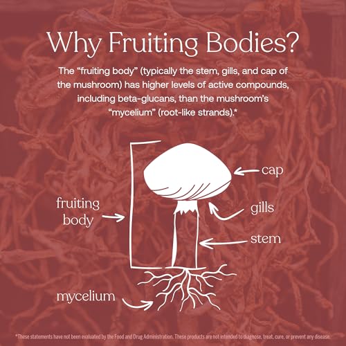 Organic mushrooms for daily energy