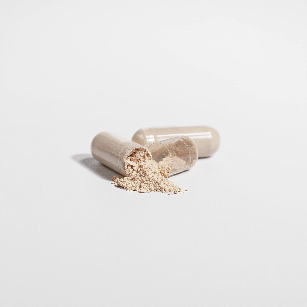 organic mushrooms for daily health