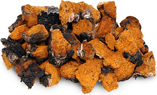 organic mushrooms for daily nutrition