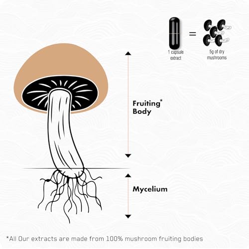 Organic mushrooms for daily nutrition