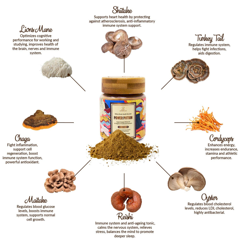 organic mushrooms for daily nutrition