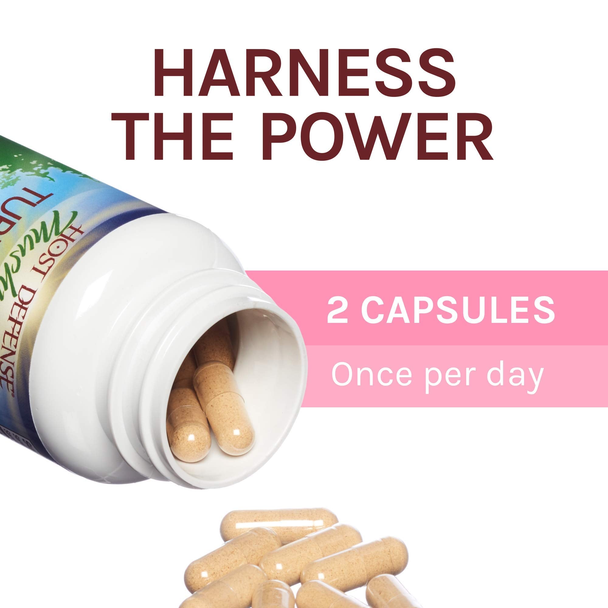 Organic mushrooms for daily vitality