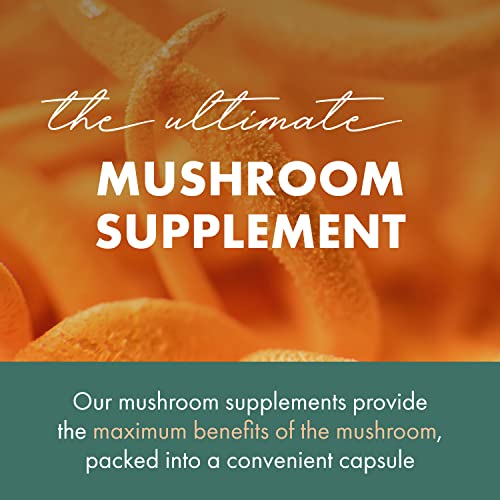 Organic mushrooms for daily wellness