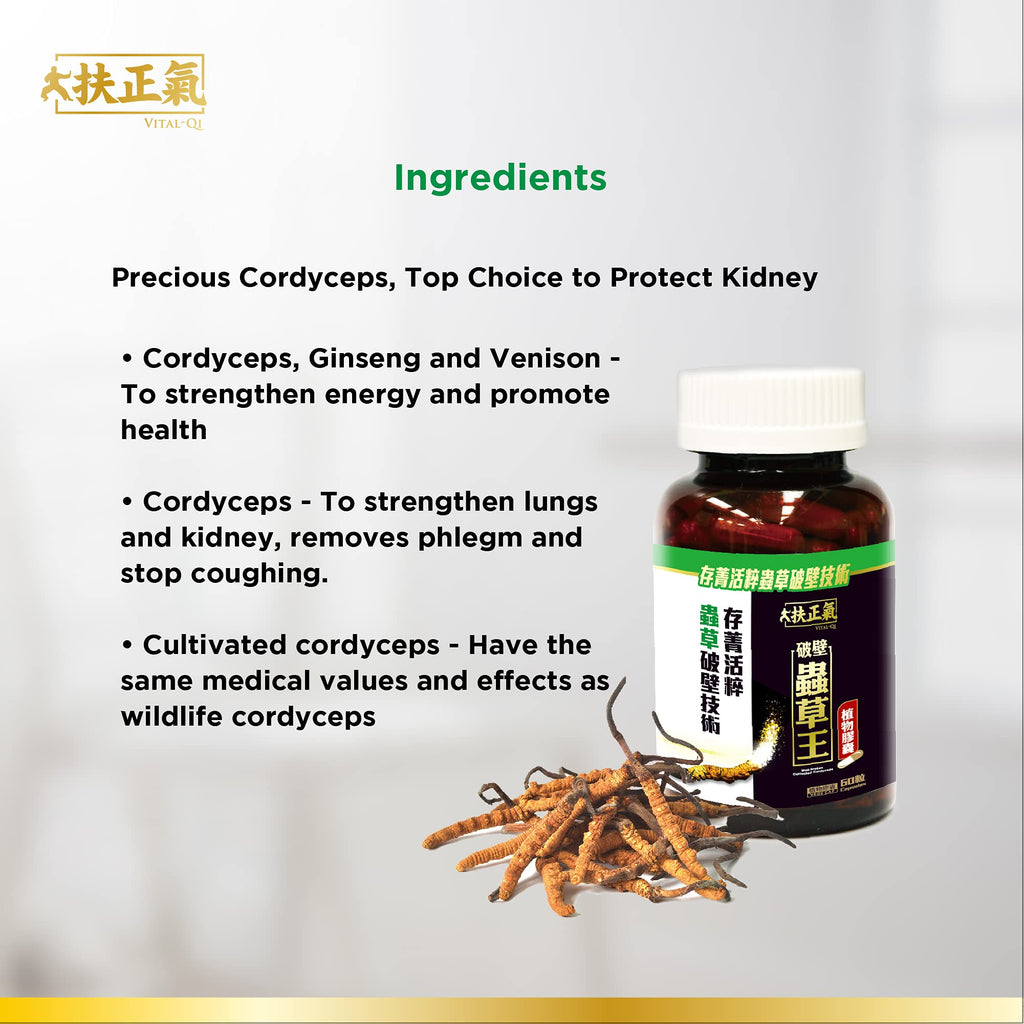 Organic mushrooms for daily wellness