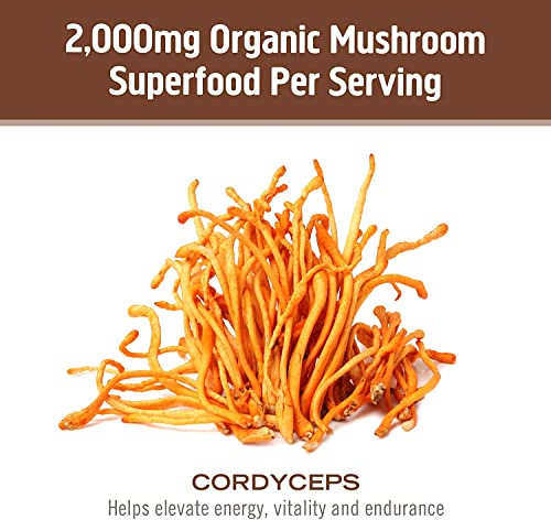 organic mushrooms for energy