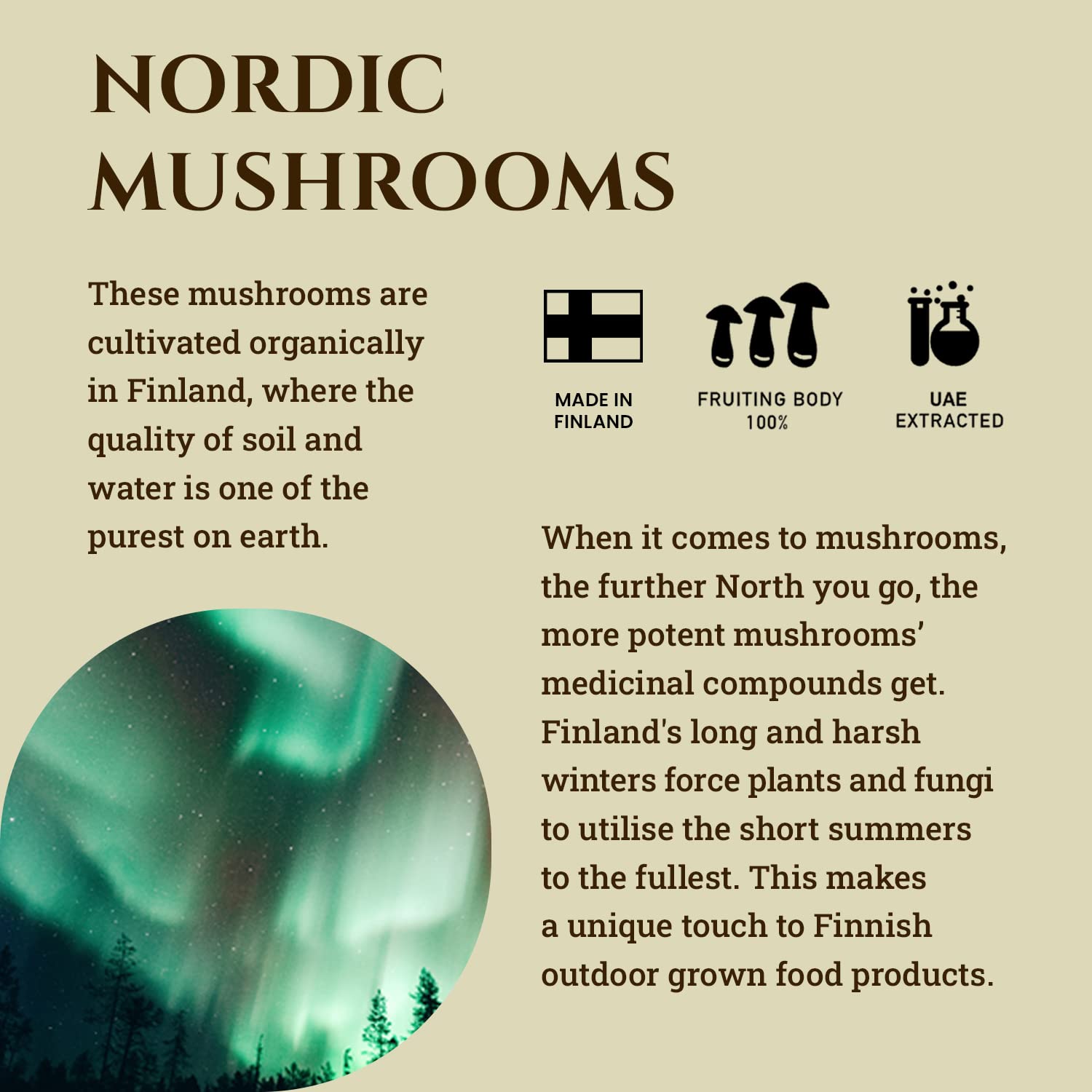 organic mushrooms for enhanced vitality