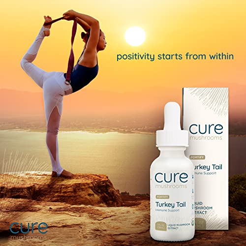 organic mushrooms for gut support