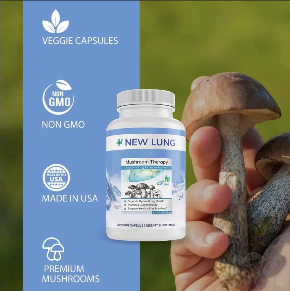 organic mushrooms for health benefits