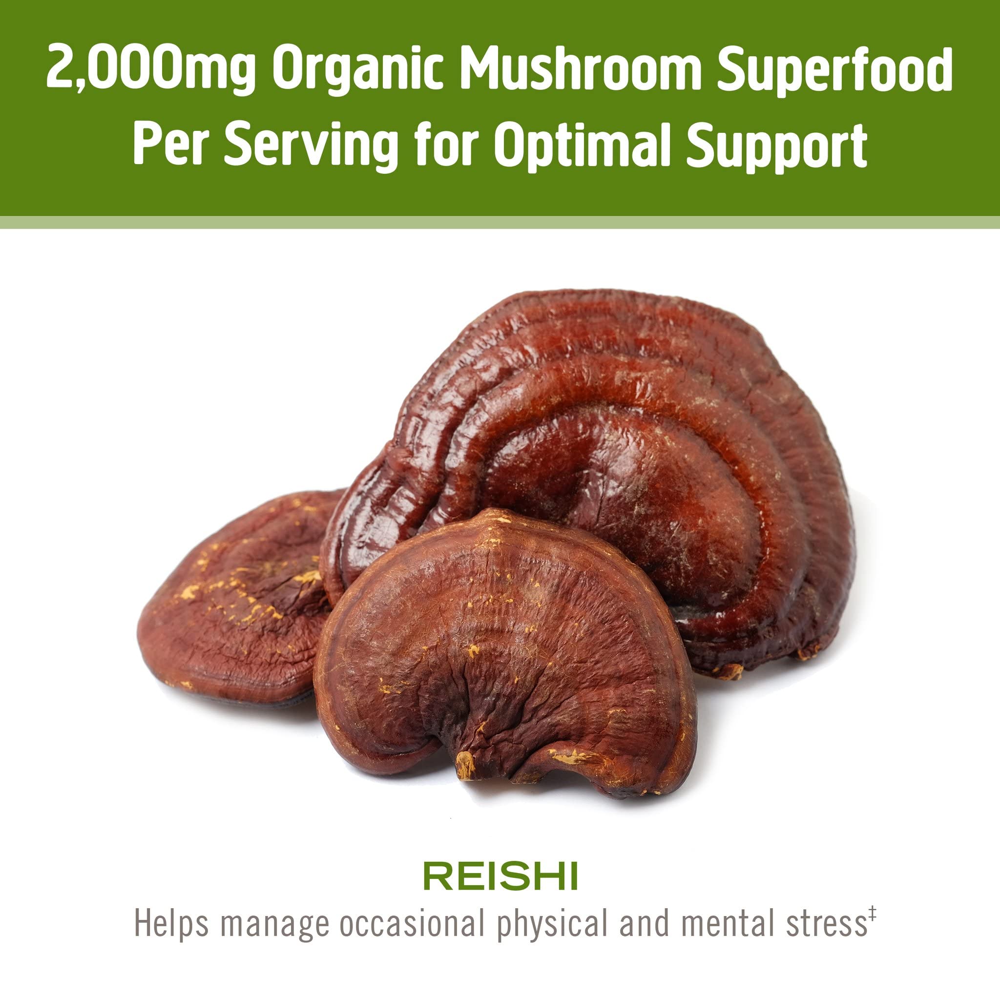organic mushrooms for holistic health