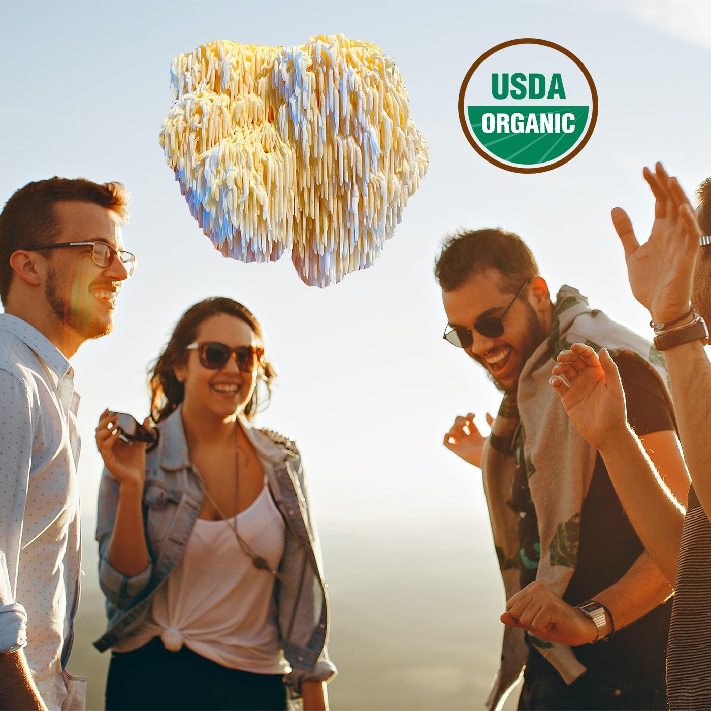Organic mushrooms for holistic health
