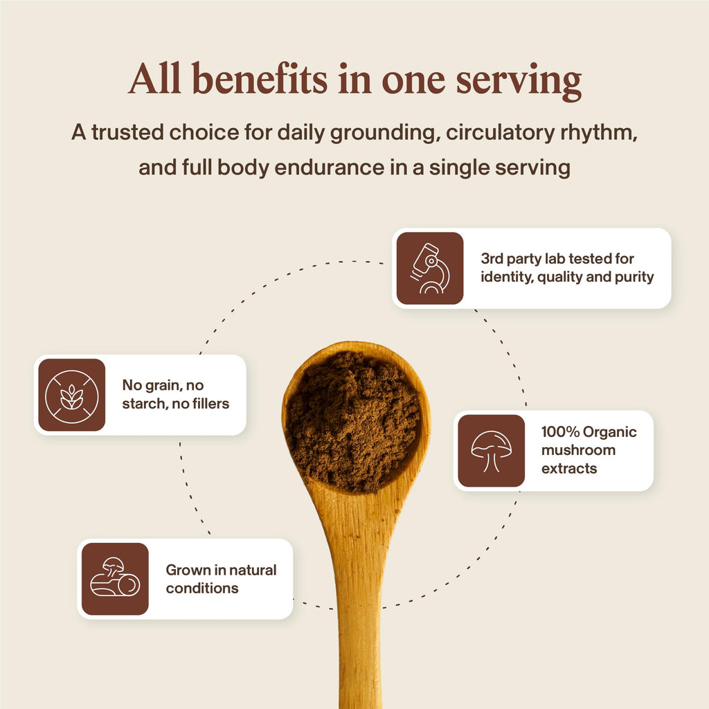 organic mushrooms for holistic health