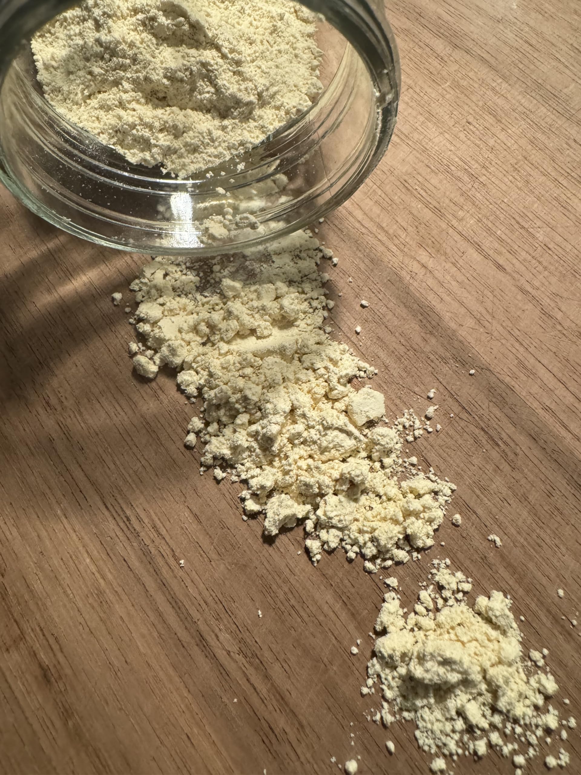 organic mushrooms for holistic health