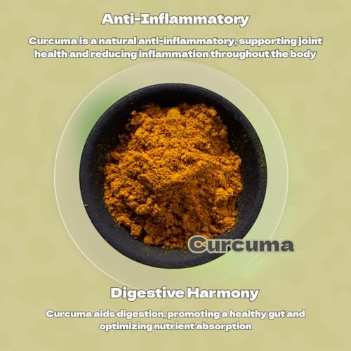 organic mushrooms for holistic health