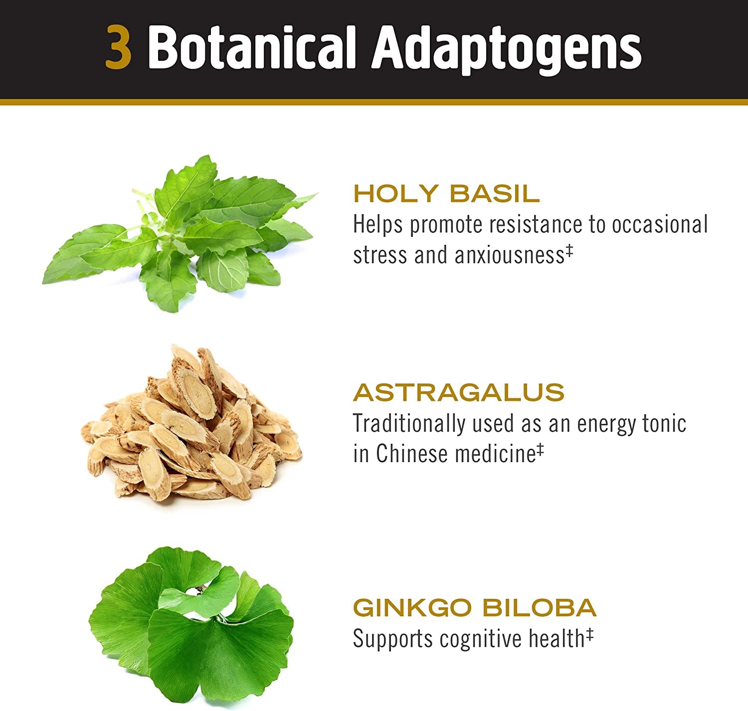 organic mushrooms for holistic wellness