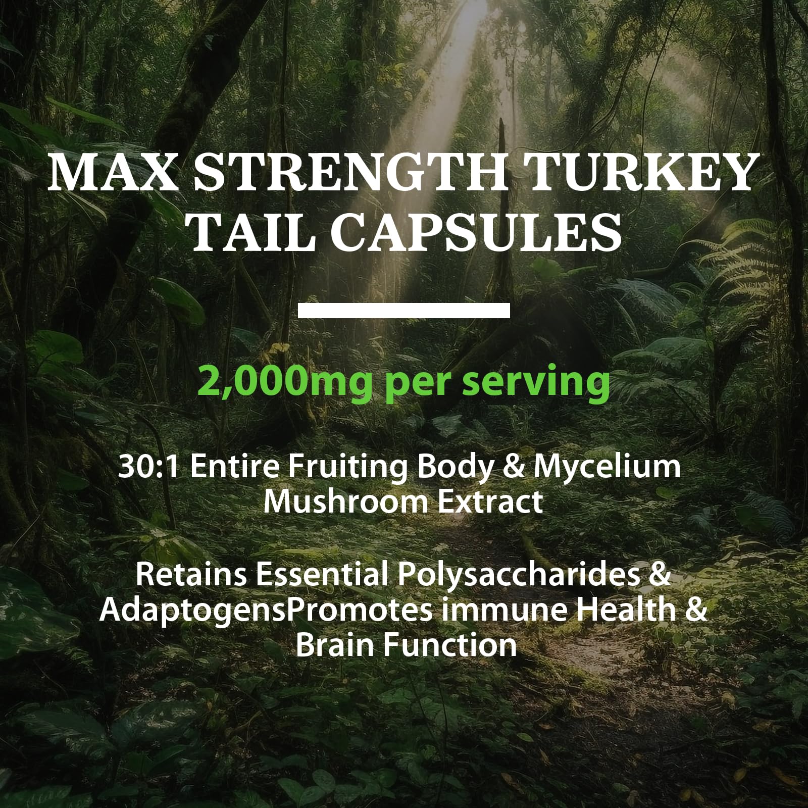 Organic mushrooms for immune resilience