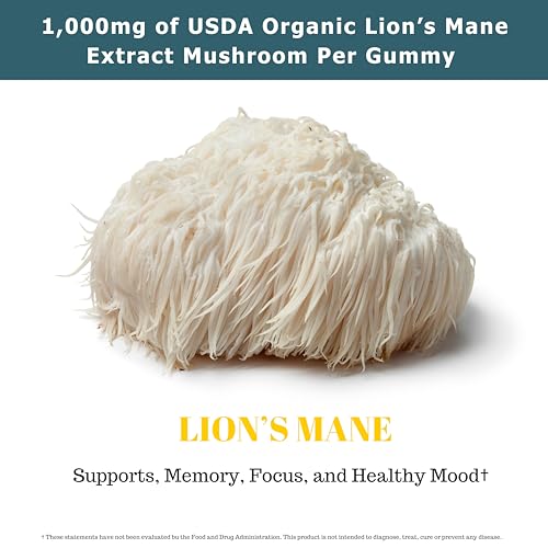 Organic mushrooms for improved focus