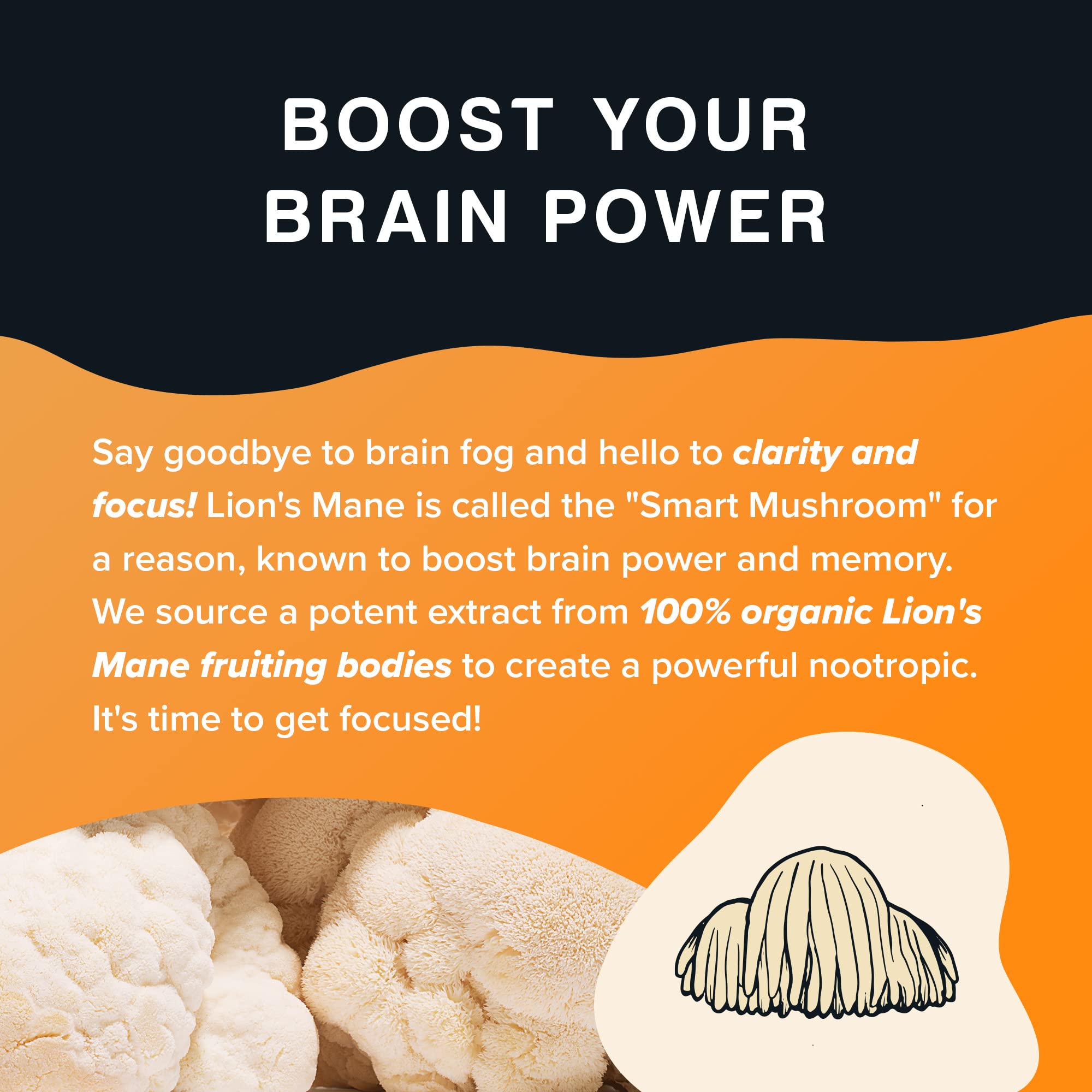 Organic mushrooms for mental clarity