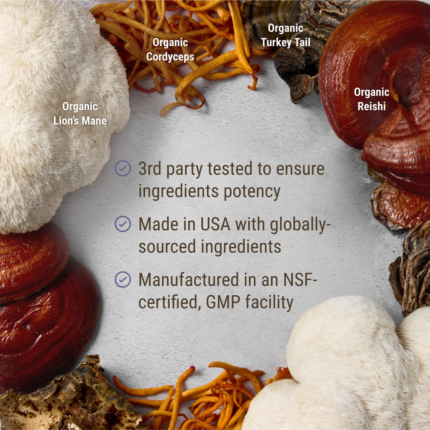 Organic mushrooms for mental clarity