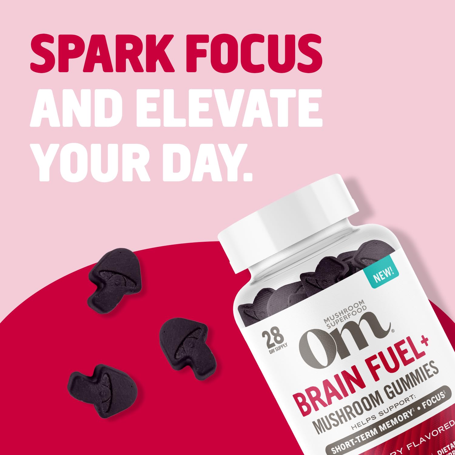 Organic mushrooms for mental performance