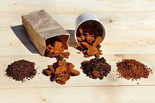 organic mushrooms for natural energy
