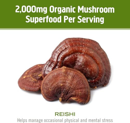 organic mushrooms for natural healing