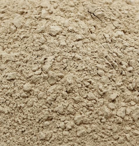 organic mushrooms for nutritional benefits