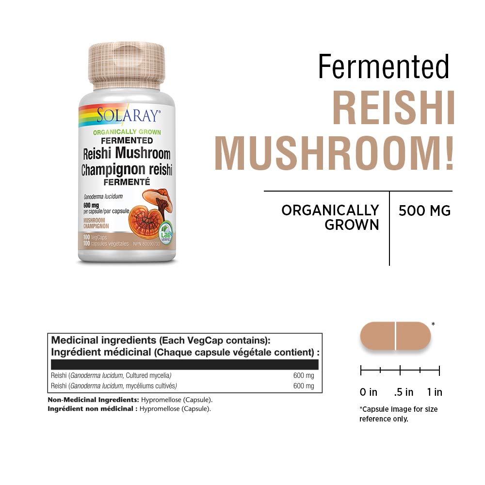 Organic mushrooms for wellness support