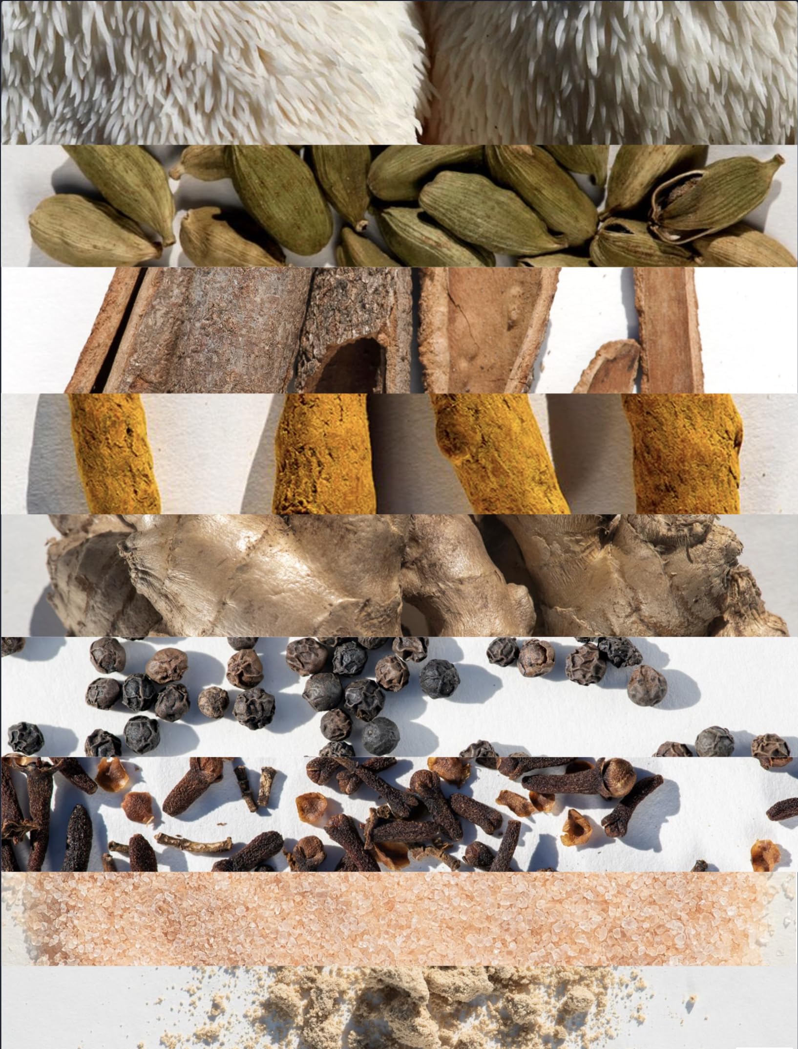 organic mushrooms for wellness