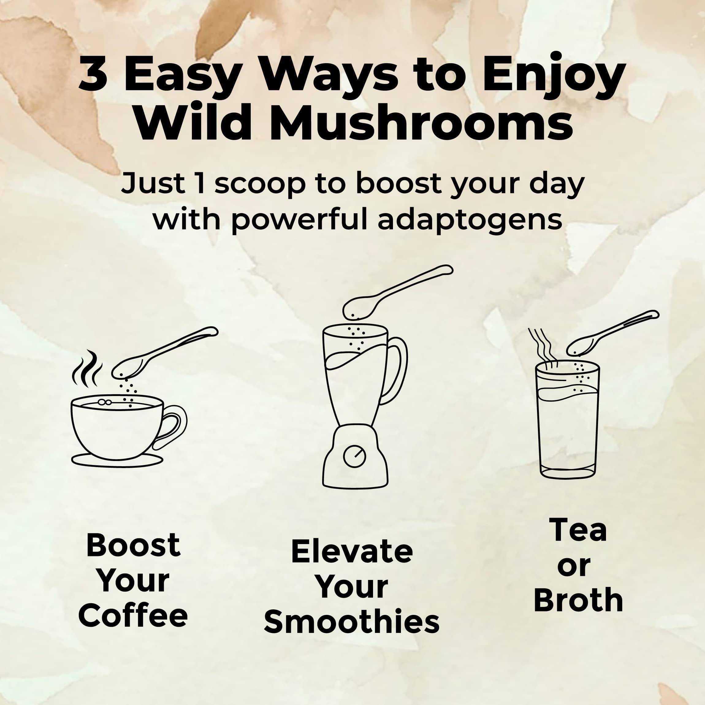 organic mushrooms for wellness