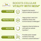 Organic neem capsules for detoxification
