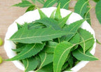 organic neem leaves for detox