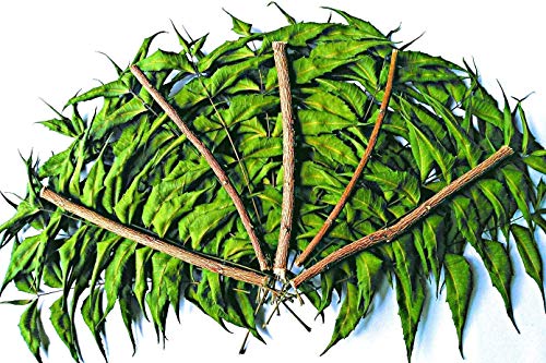 organic neem leaves for detox