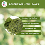organic neem leaves for wellness