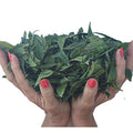 organic neem leaves herbal supplement
