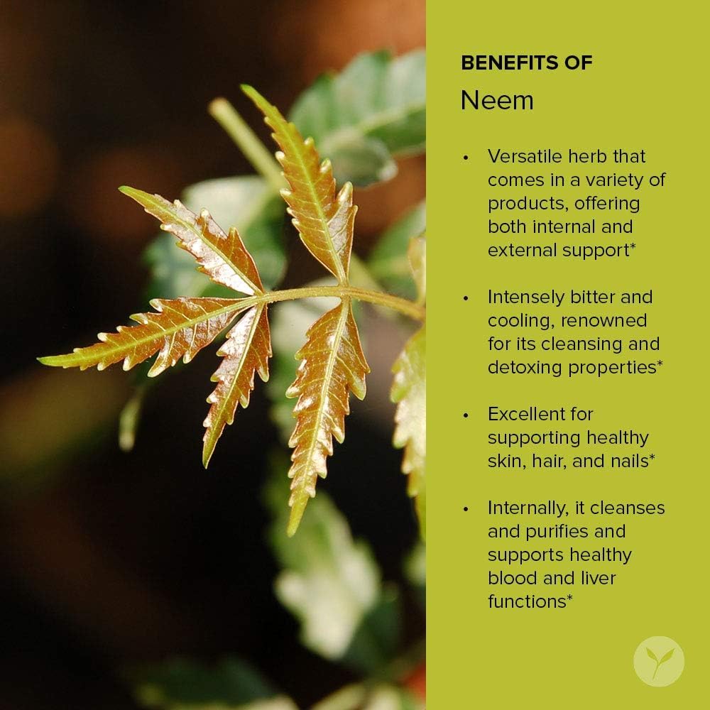 Organic neem powder for health enthusiasts