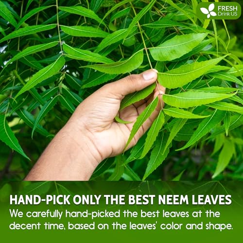 organic neem powder for skincare
