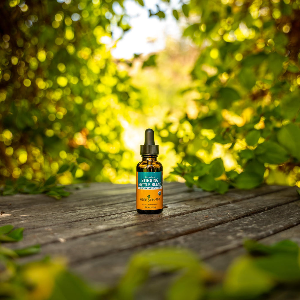 organic nettle extract for everyday use