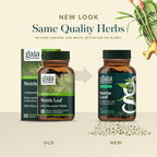 organic nettle leaf extract