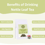 organic nettle leaf infusion