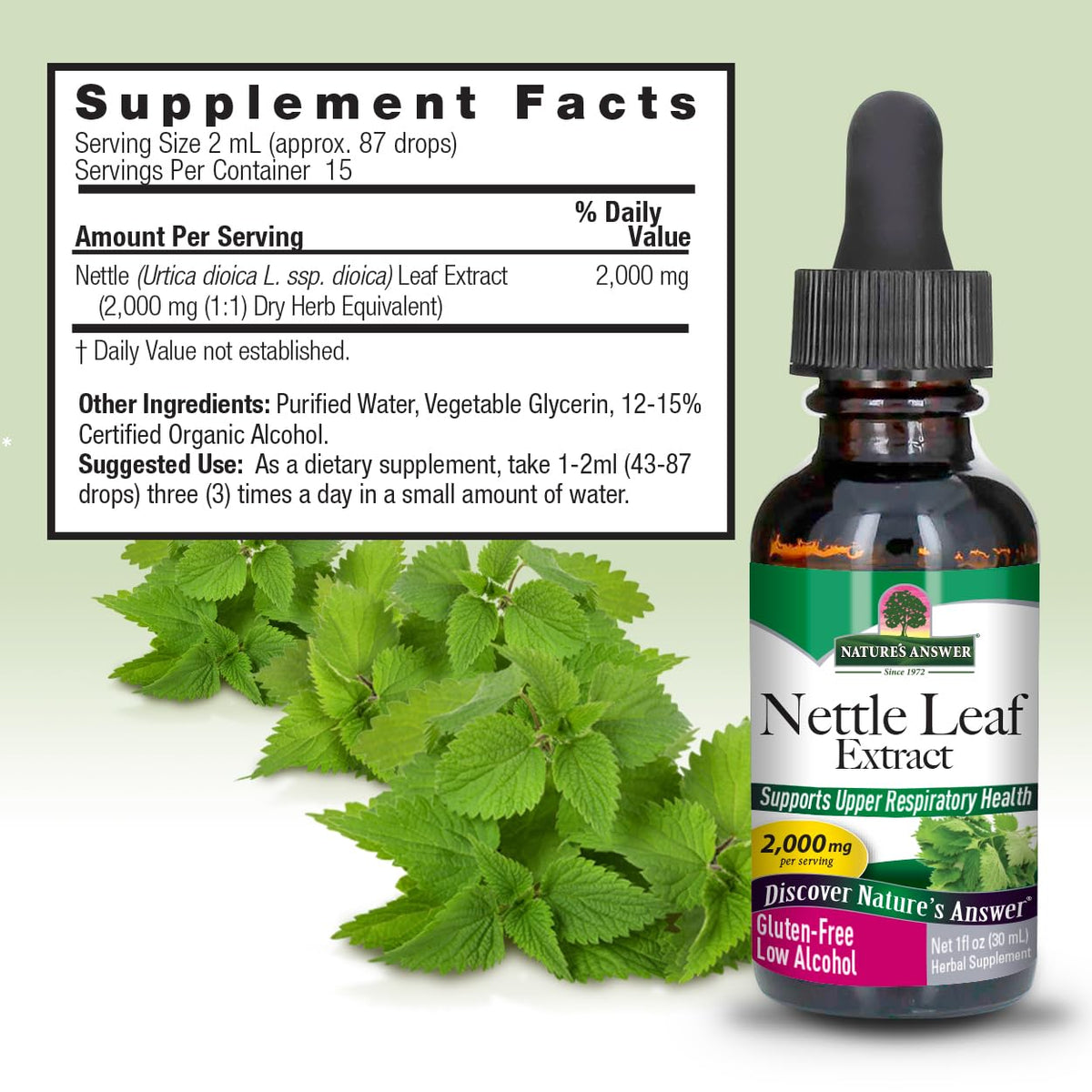 organic nettle leaf tincture
