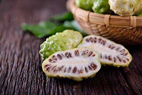 organic noni juice for vitality