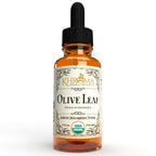 organic olive leaf extract benefits