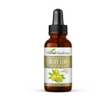 organic olive leaf extract benefits