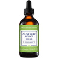 organic olive leaf extract benefits