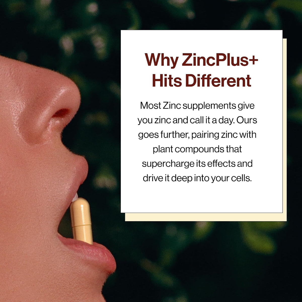 Organic Olivia zinc for overall vitality