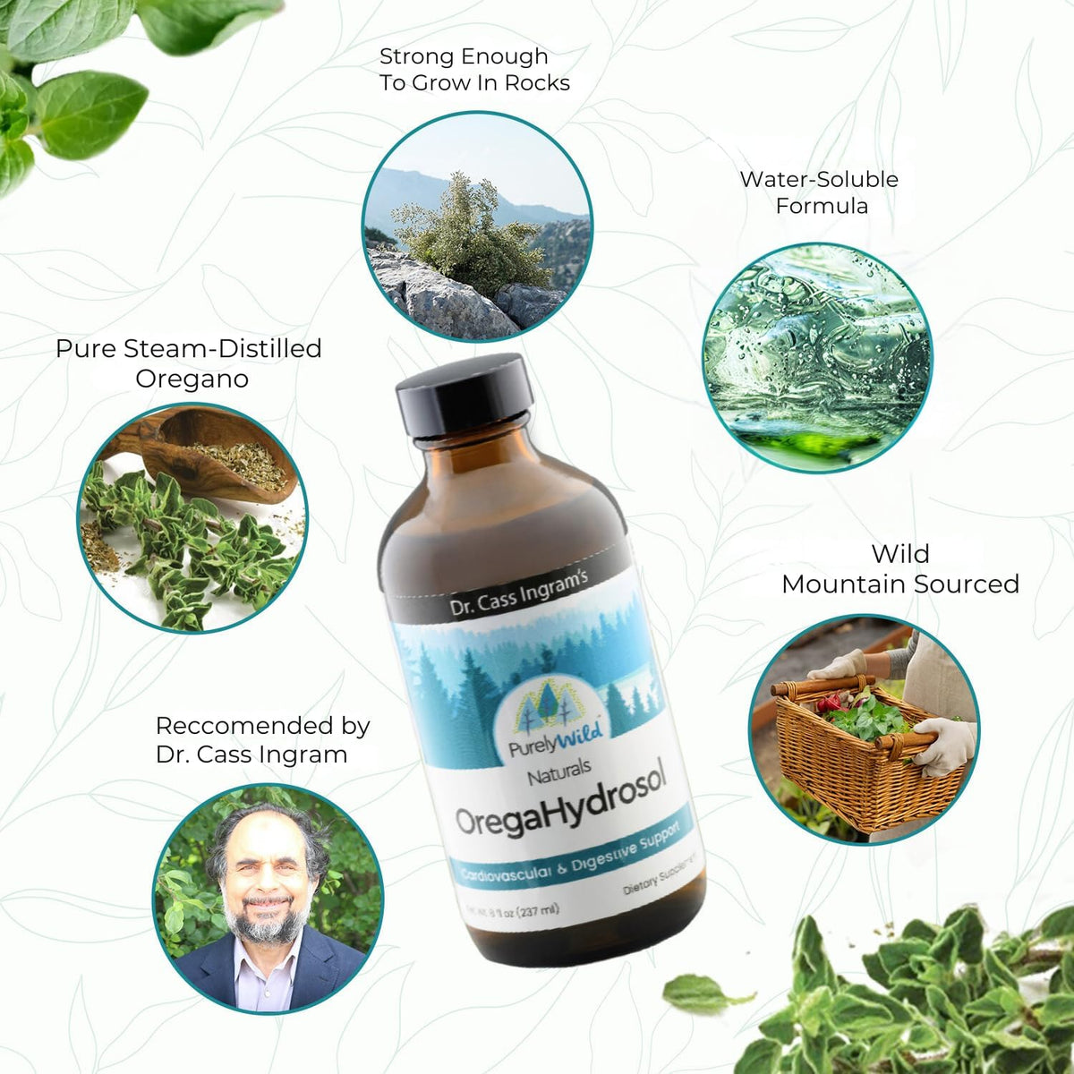 organic oregano juice for health
