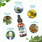 organic oregano oil for wellness