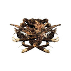 Organic Osha root for immune support