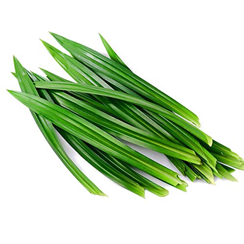 Organic pandan leaves for wellness